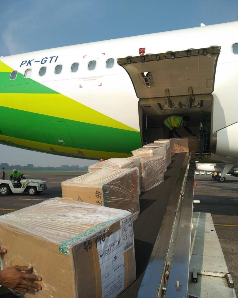 Cargo Via Udara » Jasa Pengiriman Barang di Bali CP. 081353082881